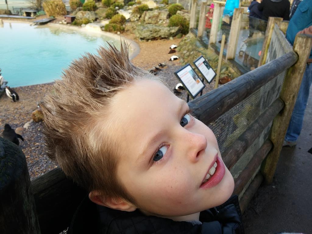 ZSL Whipsnade Zoo - Daizee-Mai's Pre-Birthday Trip